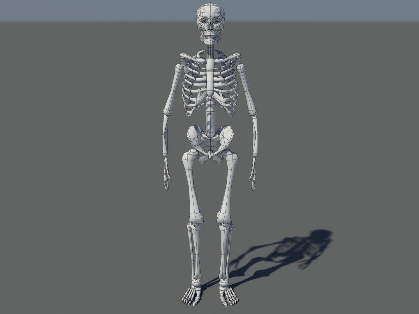 3d Max Human Skeleton