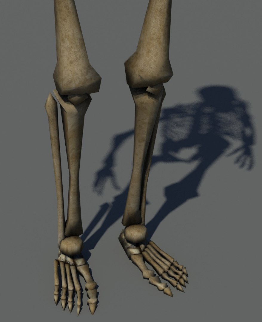 3d Max Human Skeleton