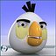 angry birds character 15 max