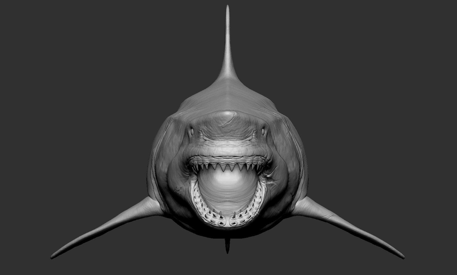 3D White Shark Model - TurboSquid 1698481