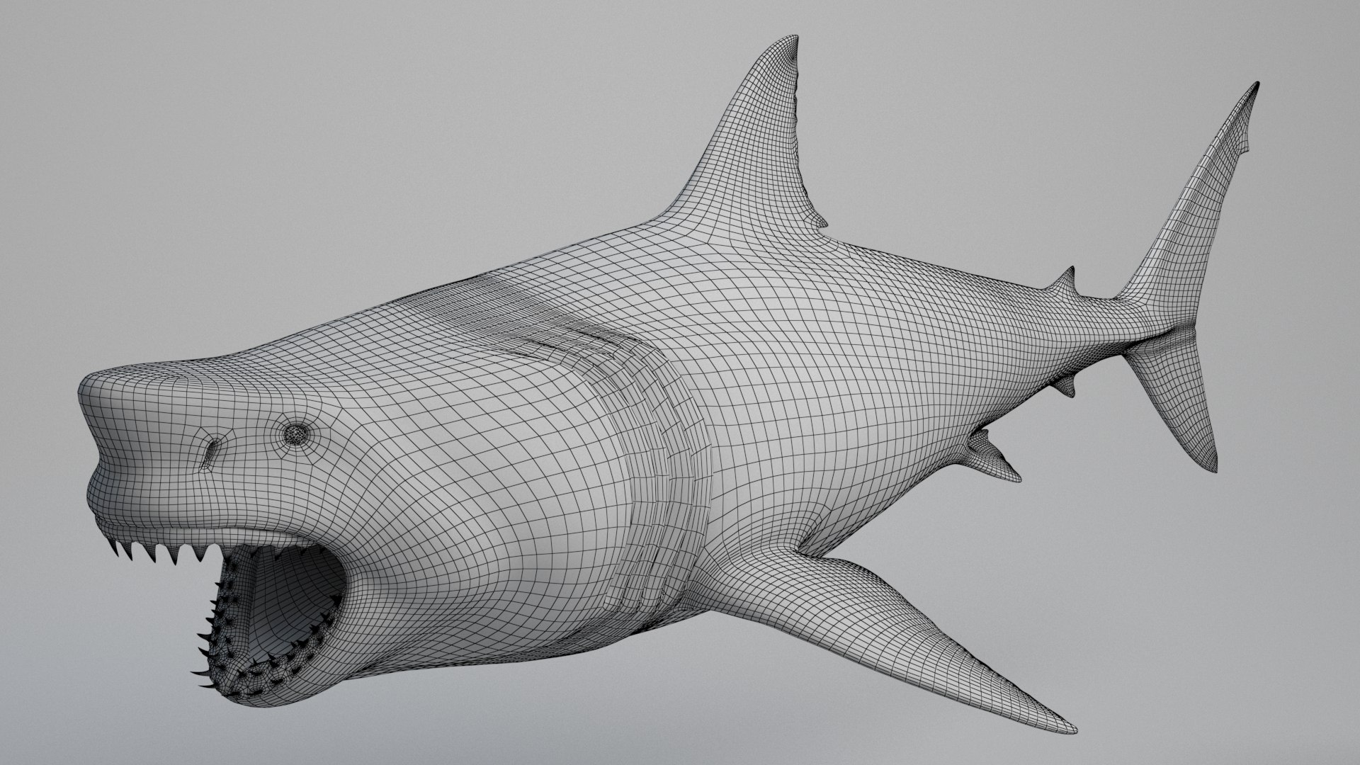 3D White Shark Model - TurboSquid 1698481