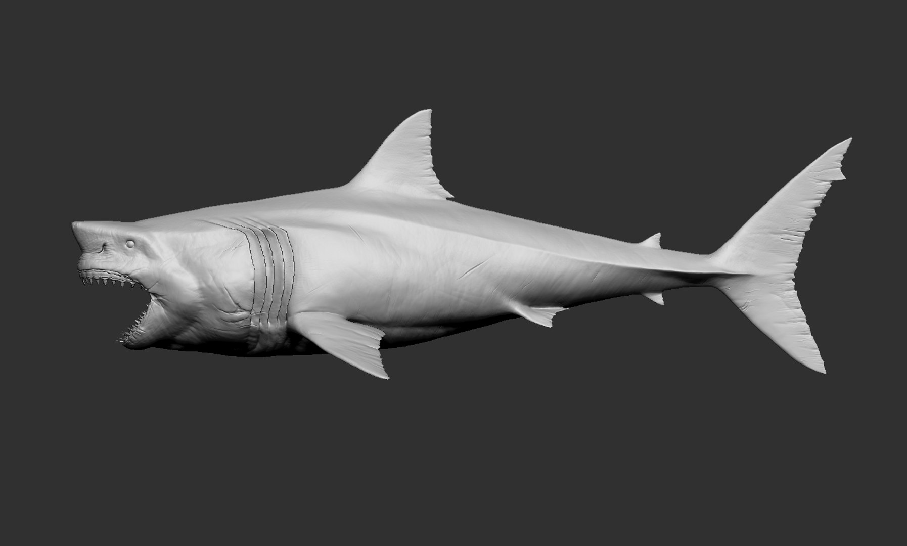 3D White Shark Model - TurboSquid 1698481