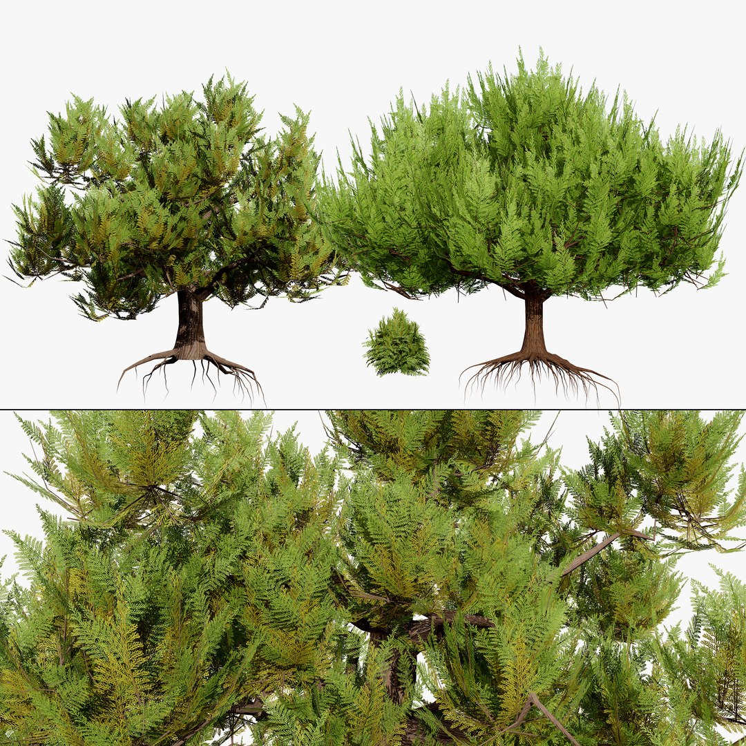 Low Poly Pine Trees 3D Model - TurboSquid 2288963