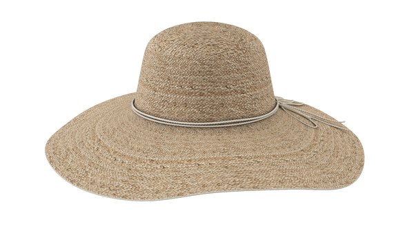 Sun Hat 3D model - TurboSquid 1829935