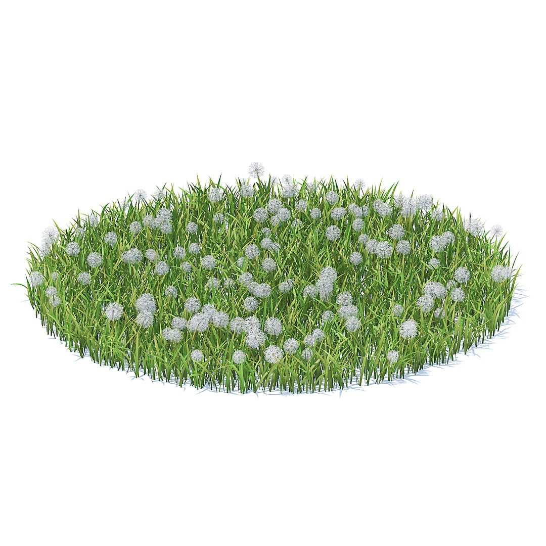 Grass Sow-thistle 3D Model - TurboSquid 1228580