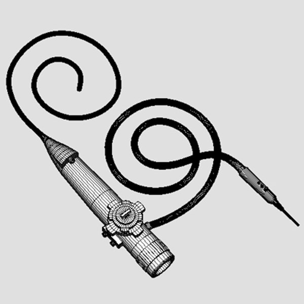 3d model flexible endoscope