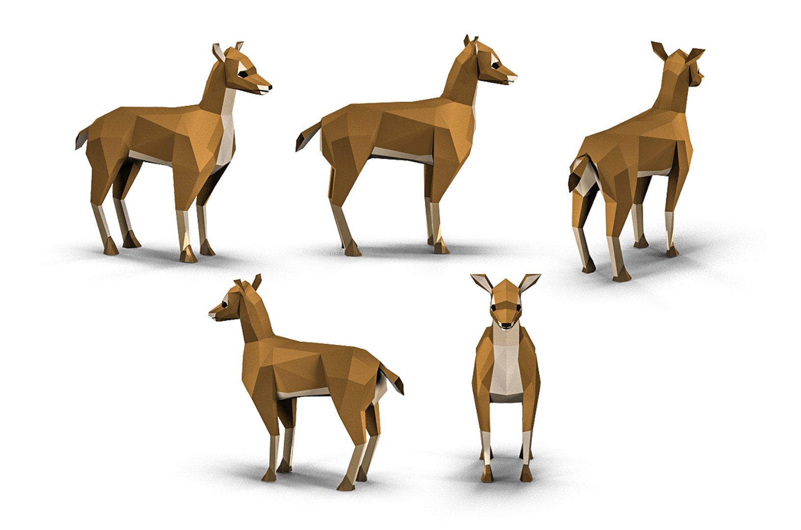 3D Animations Deer Polys - TurboSquid 1552979