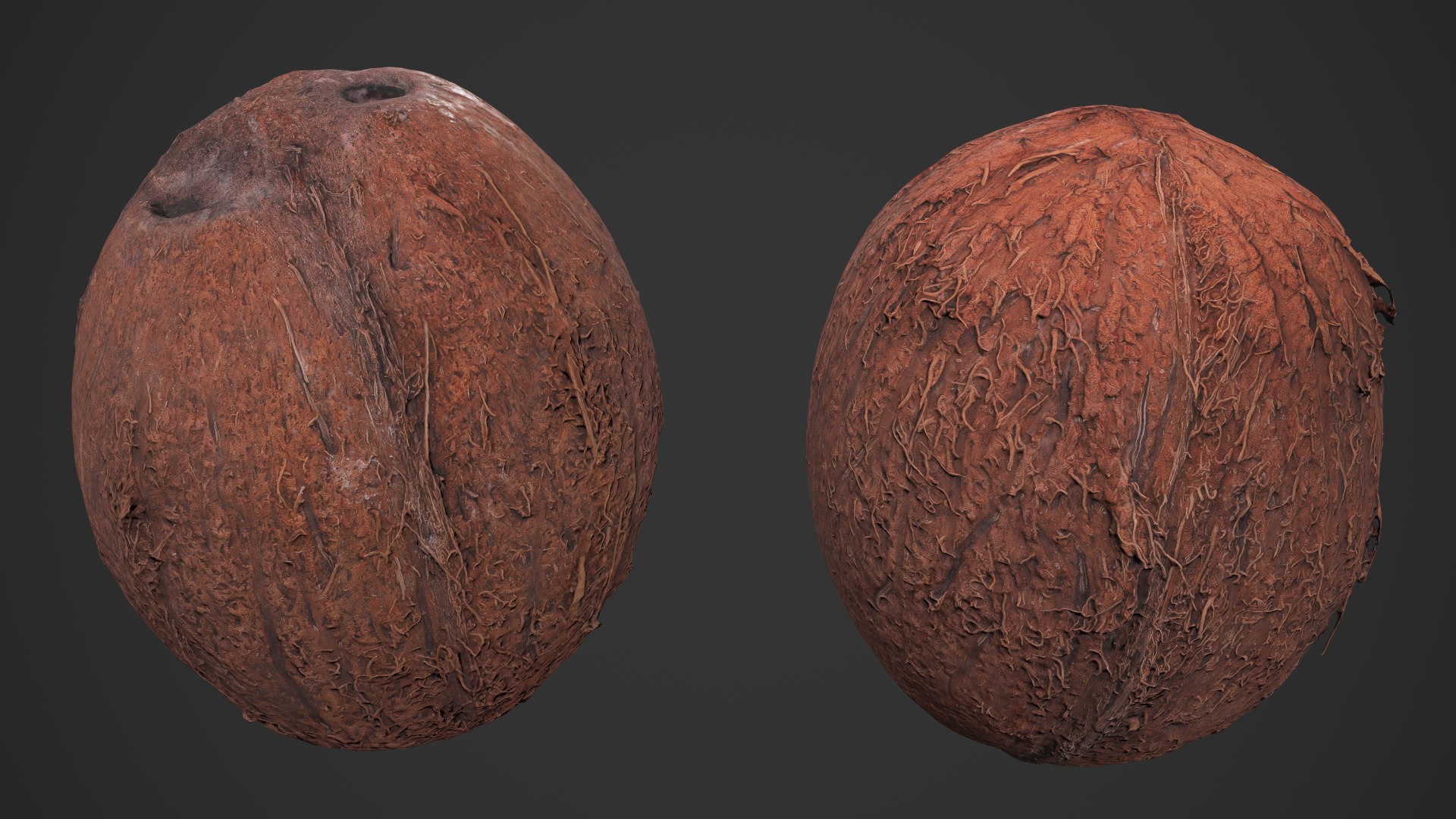 3D Coconut - TurboSquid 1831495