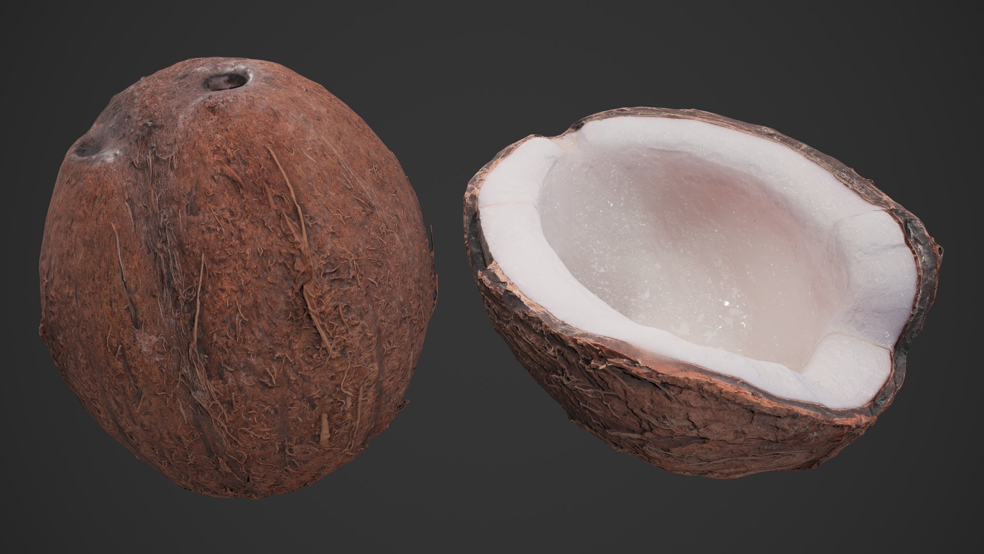 3D Coconut - TurboSquid 1831495