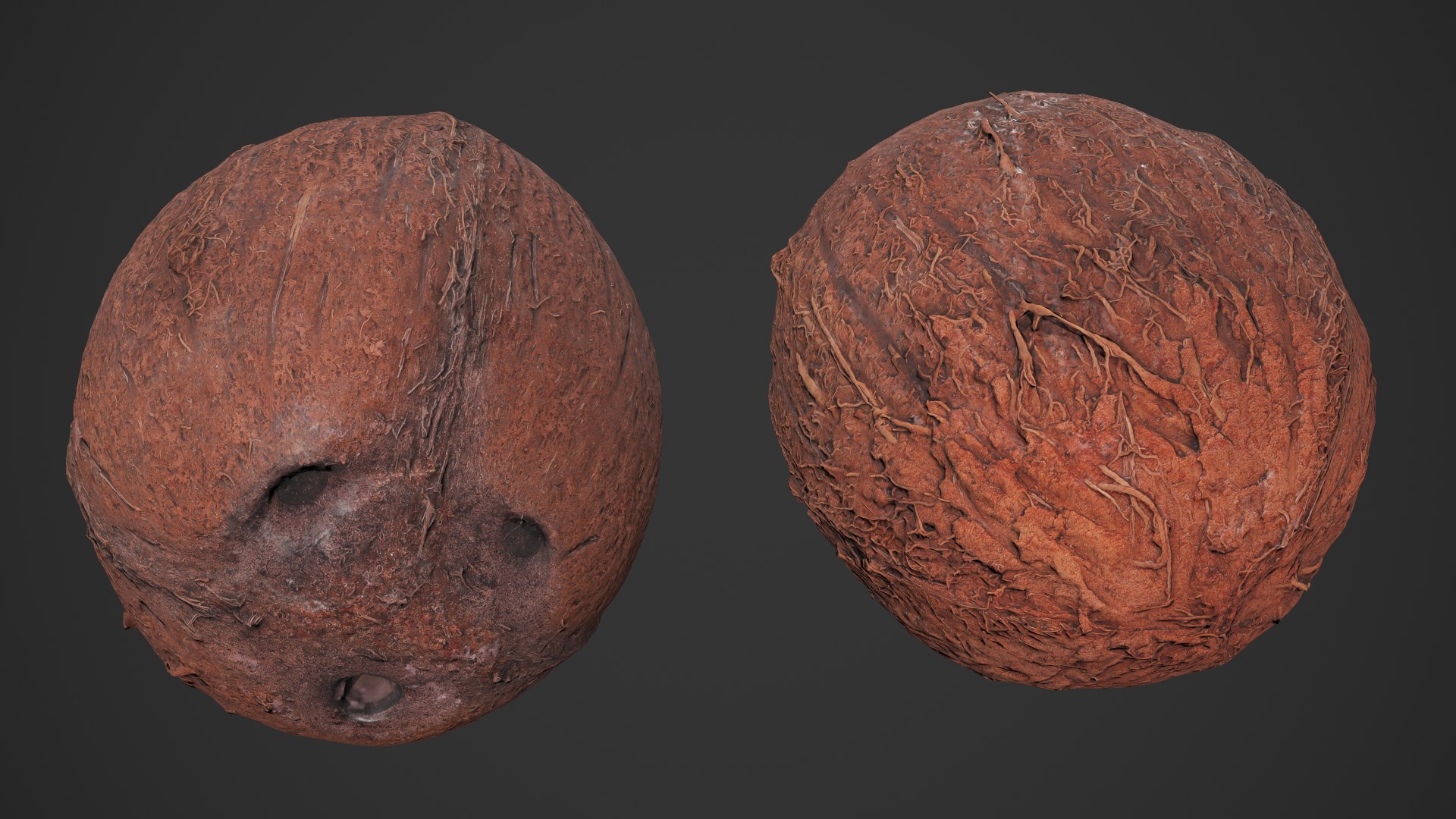 3D Coconut - TurboSquid 1831495