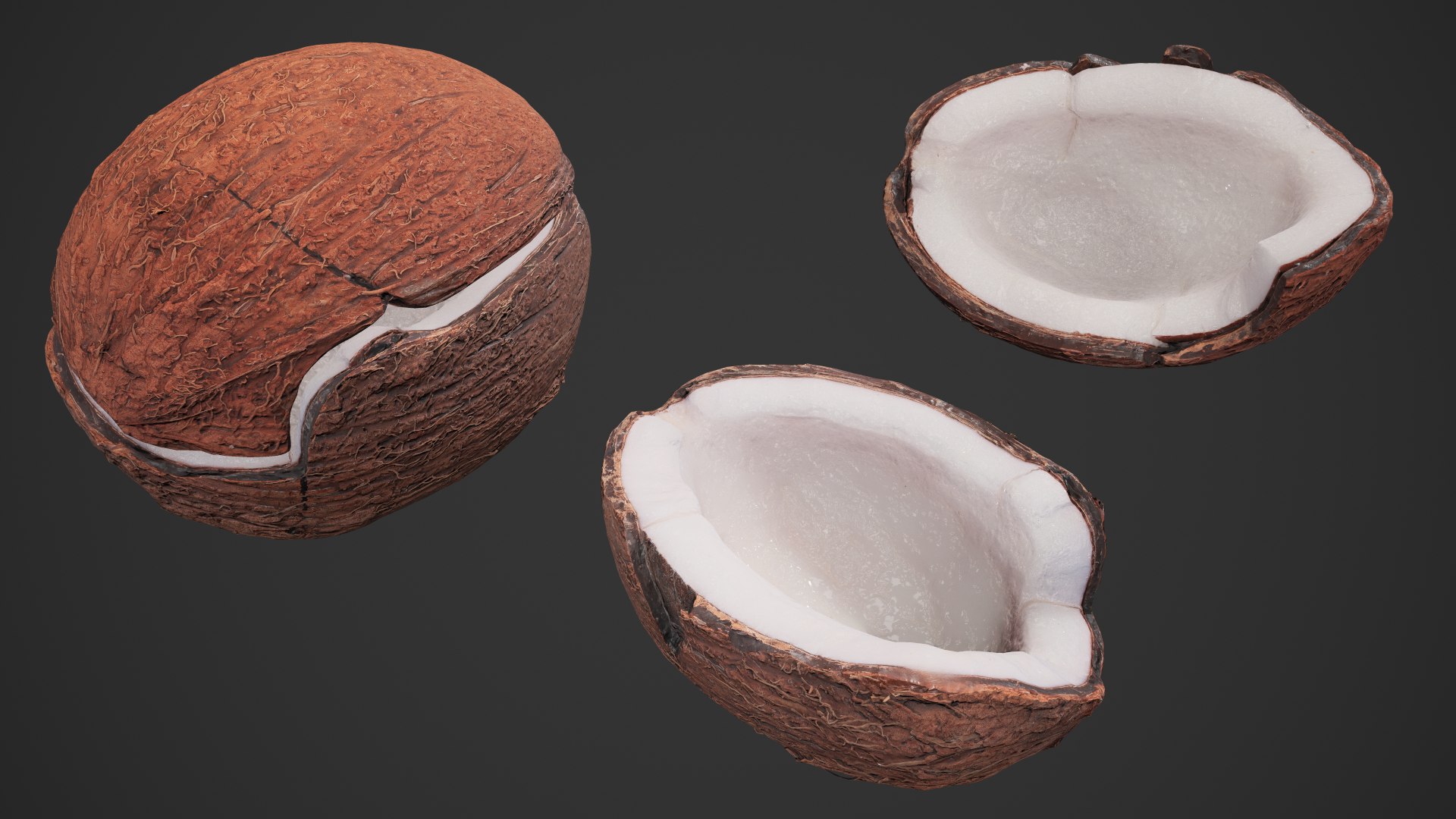 3D Coconut - TurboSquid 1831495