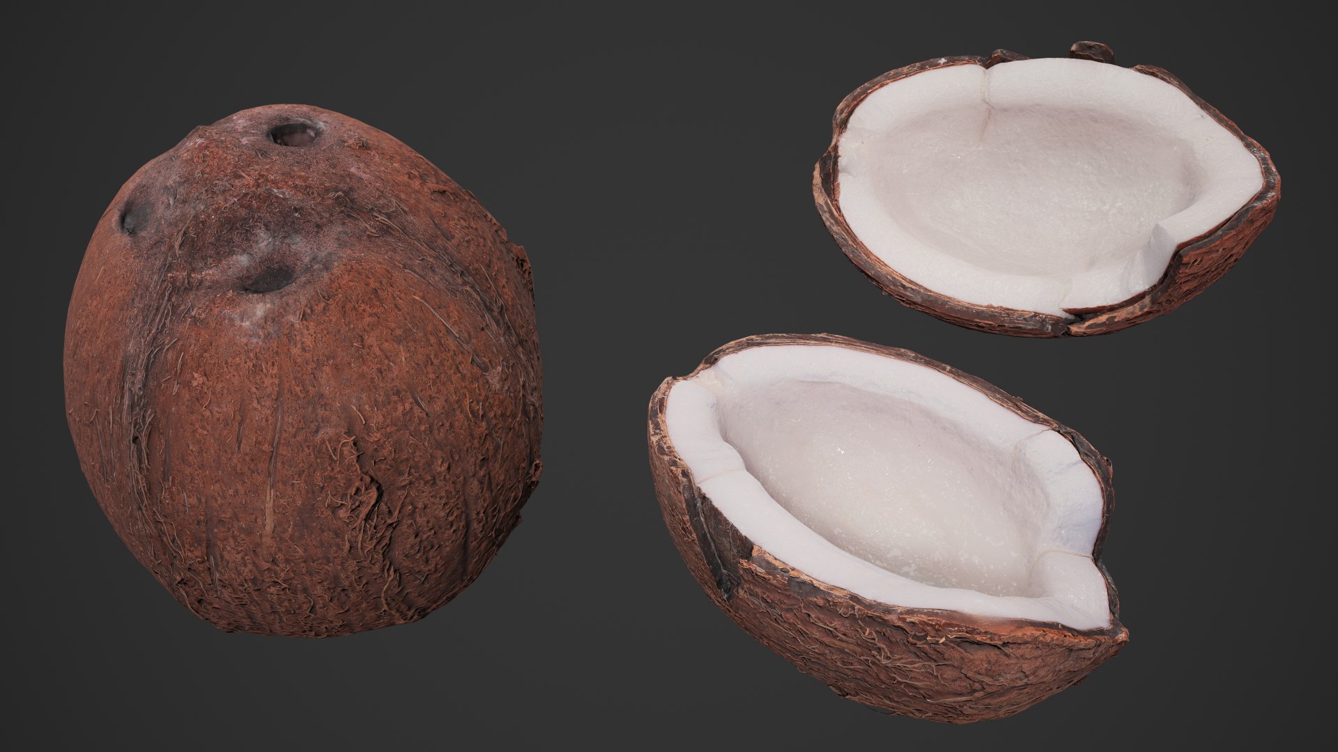 3D Coconut - TurboSquid 1831495