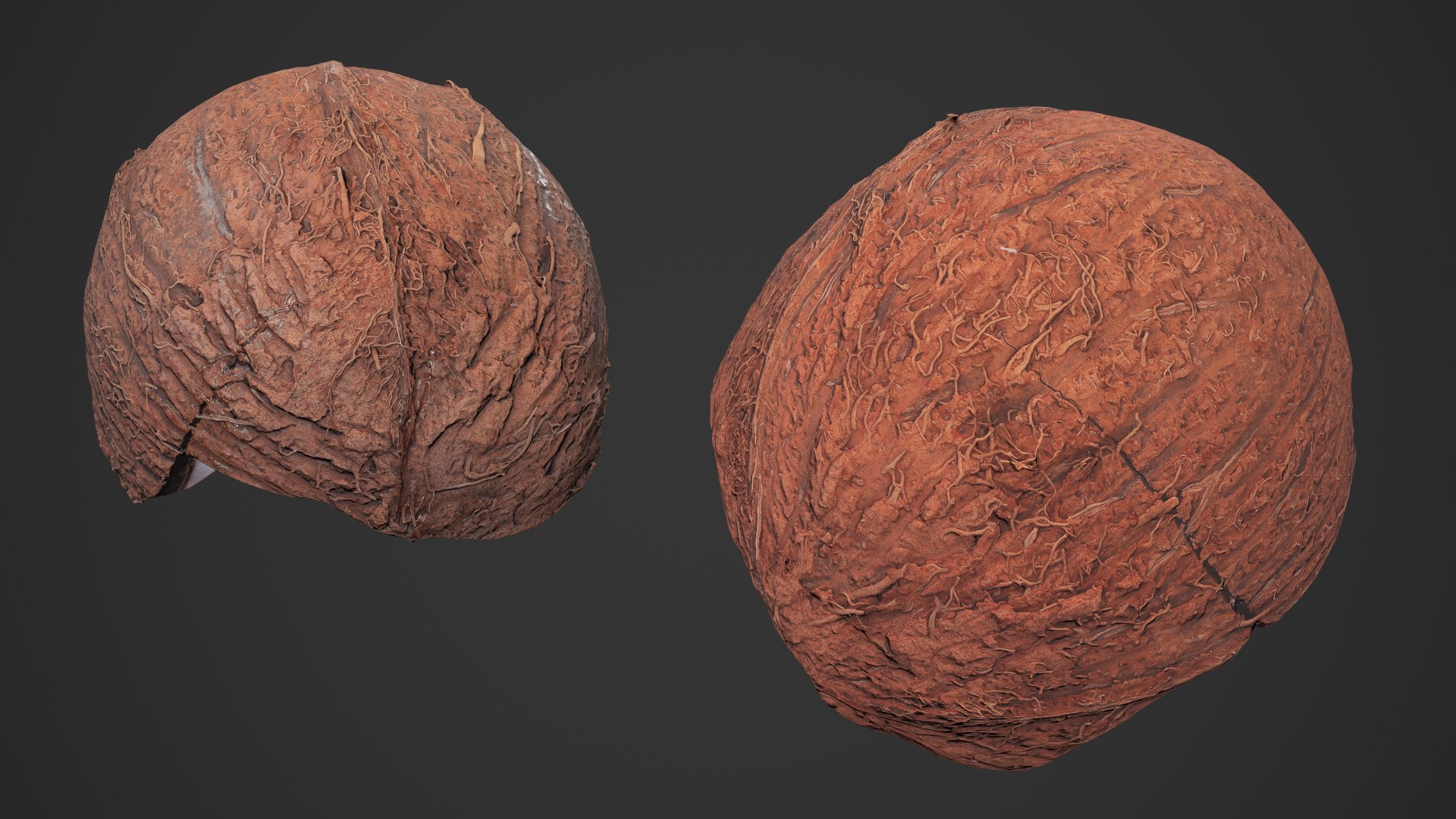 3D Coconut - TurboSquid 1831495