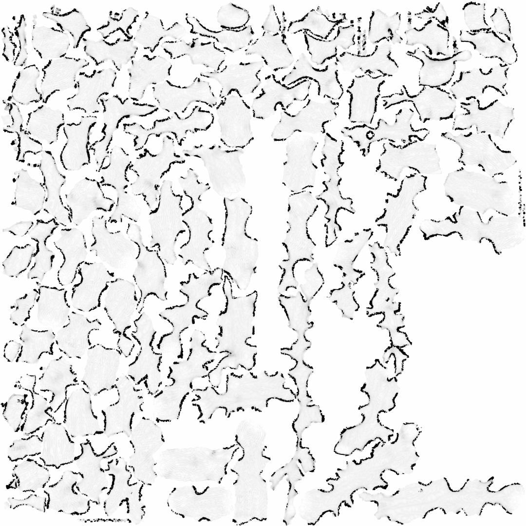 cells nucleus endoplasmic reticulum 3d model