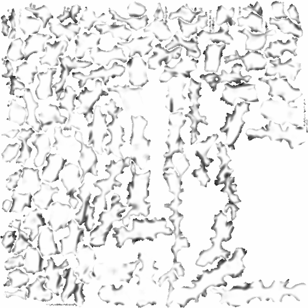 Cells Nucleus Endoplasmic Reticulum 3d Model