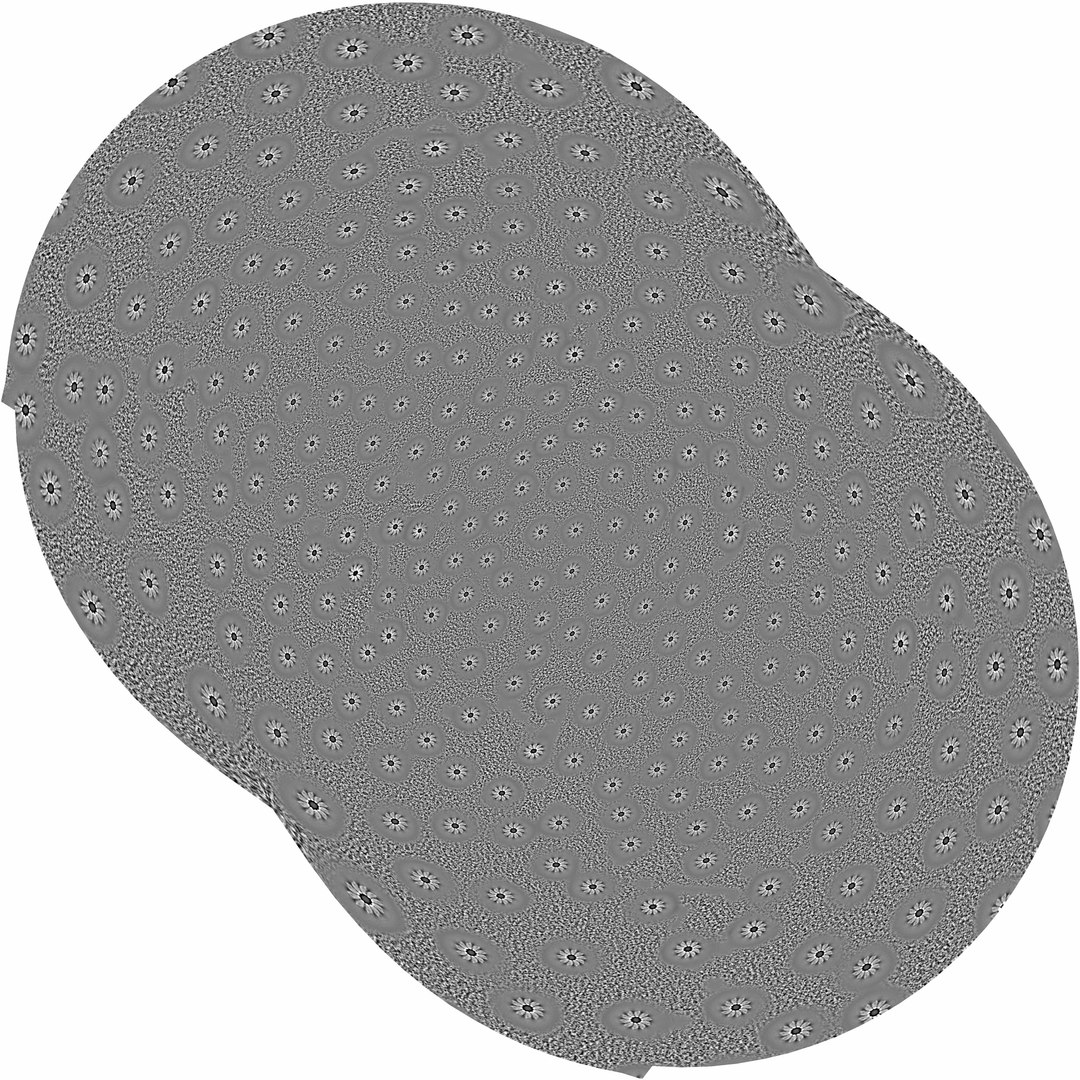 Cells Nucleus Endoplasmic Reticulum 3d Model