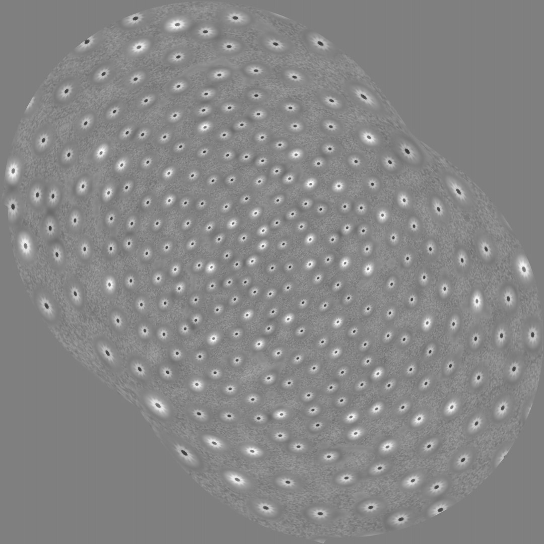 Cells Nucleus Endoplasmic Reticulum 3d Model