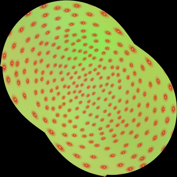 cells nucleus endoplasmic reticulum 3d model