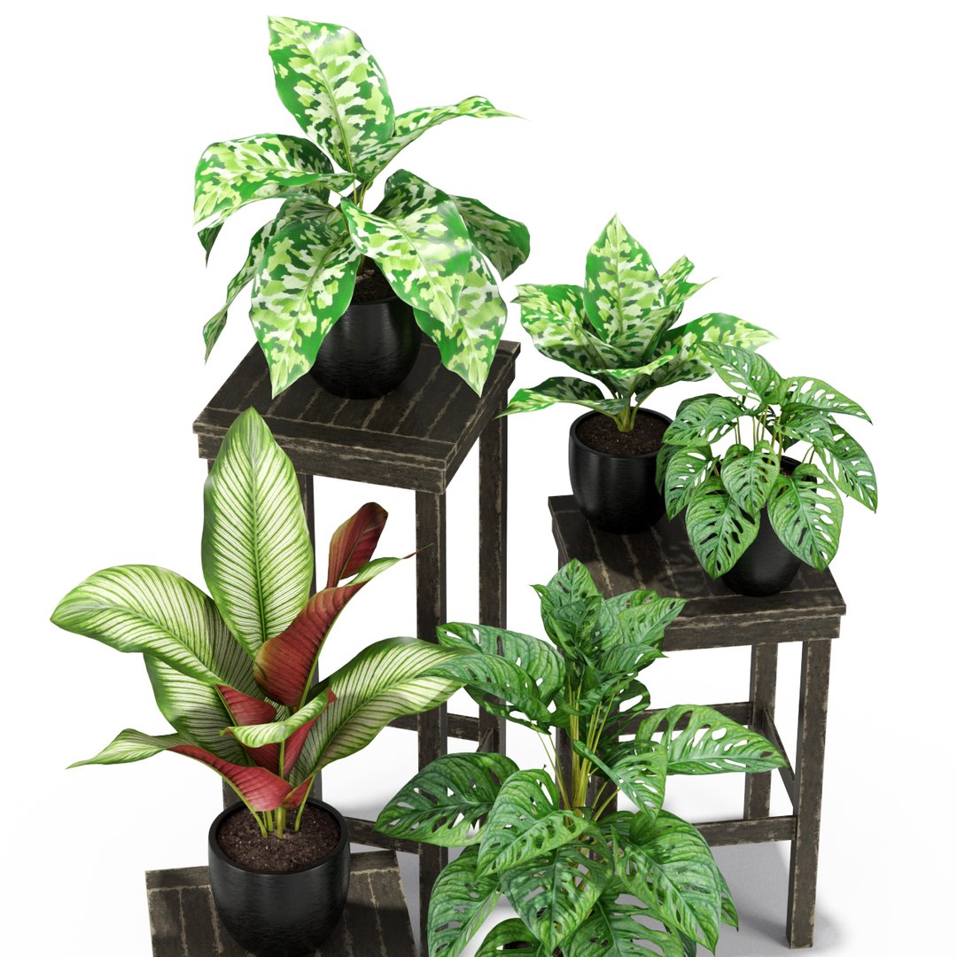 Plant Model - TurboSquid 1655690