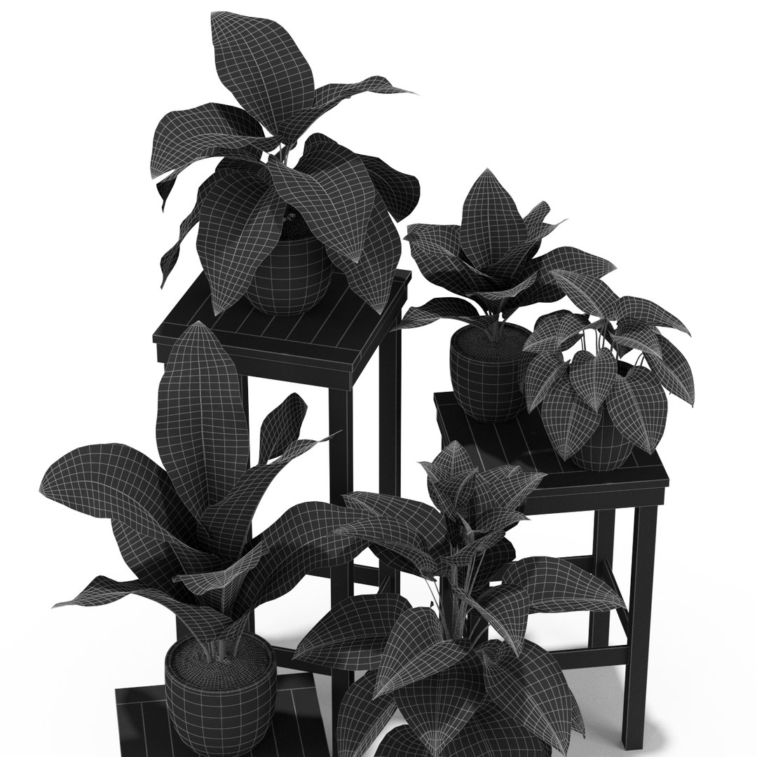 Plant Model - TurboSquid 1655690