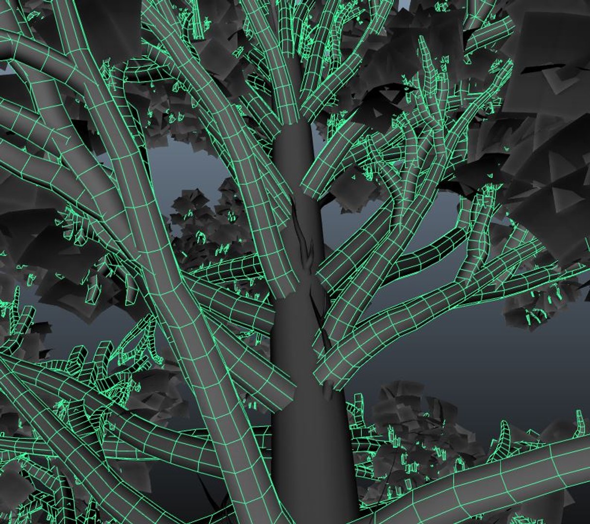 3d Model Of Trees Readiness Renders