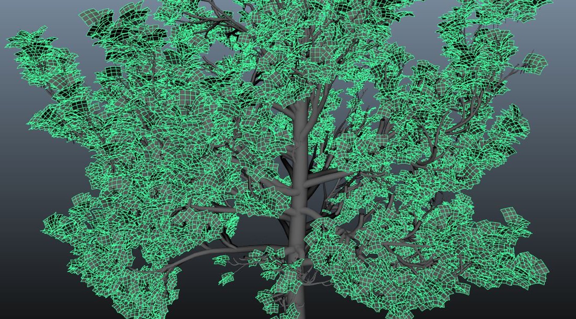 3d Model Of Trees Readiness Renders