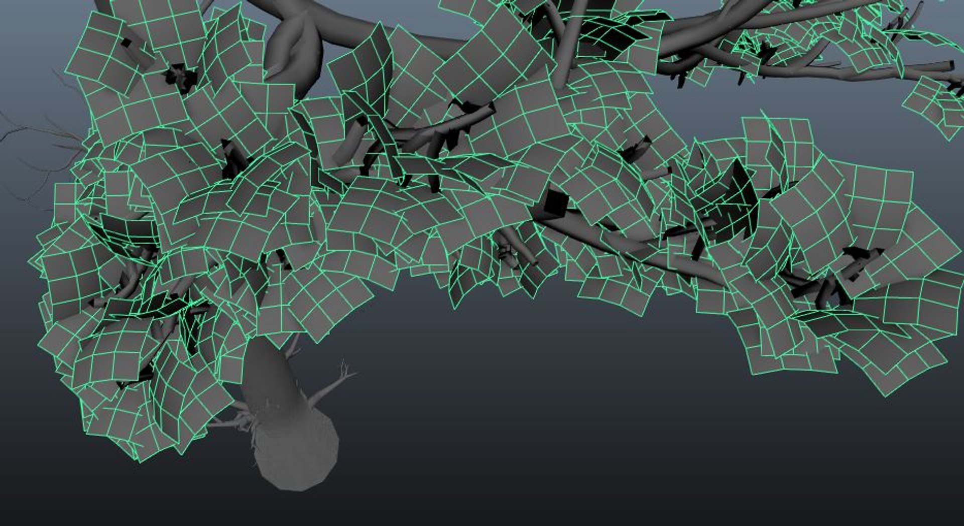 3d Model Of Trees Readiness Renders