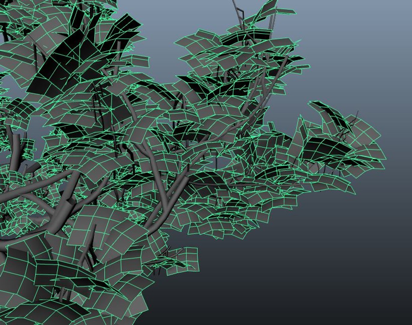 3d Model Of Trees Readiness Renders