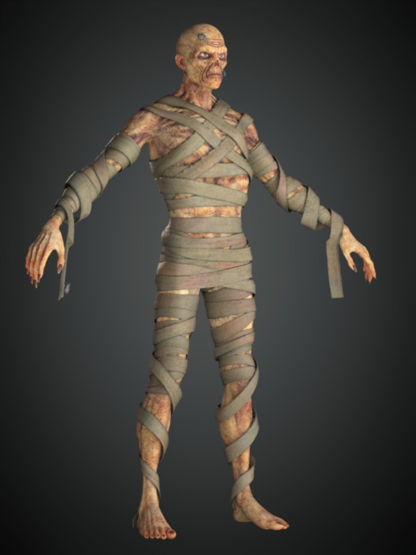 Realistic Rigged Mummy Male Character 3D Model 3D Model - TurboSquid ...