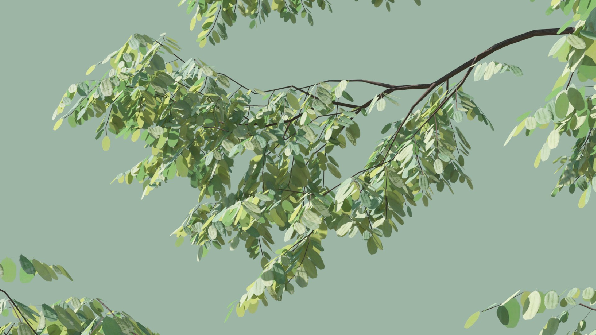 Black Locust Tree 3D Model - TurboSquid 1569971