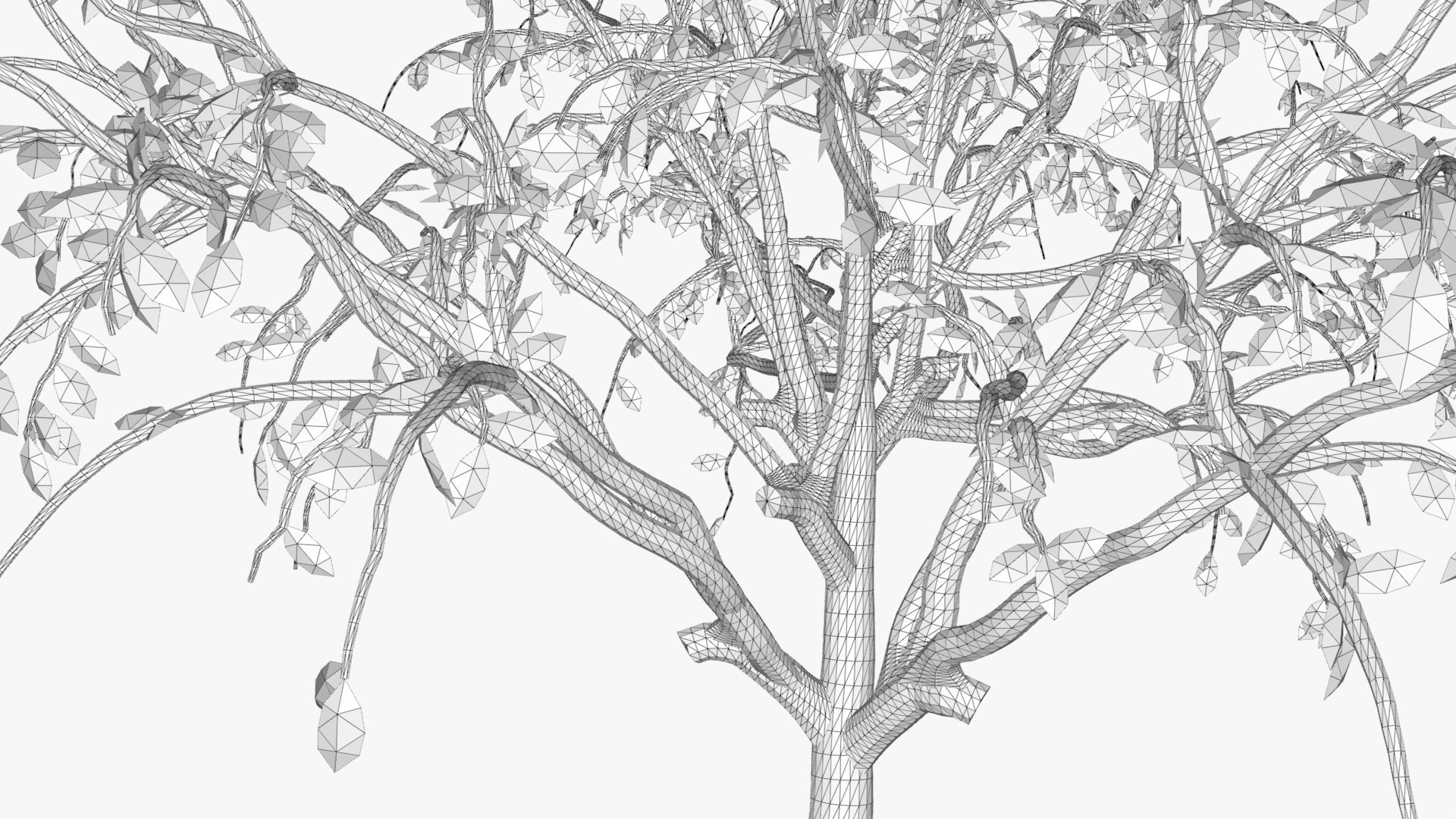 Citrus Autumn Hight Model - TurboSquid 1628135