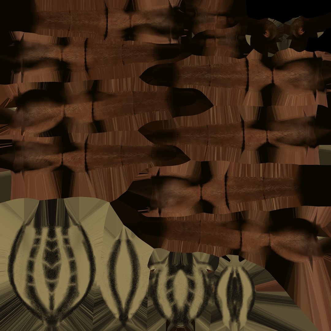 3D Model Animated Wolf Spider - TurboSquid 2103570