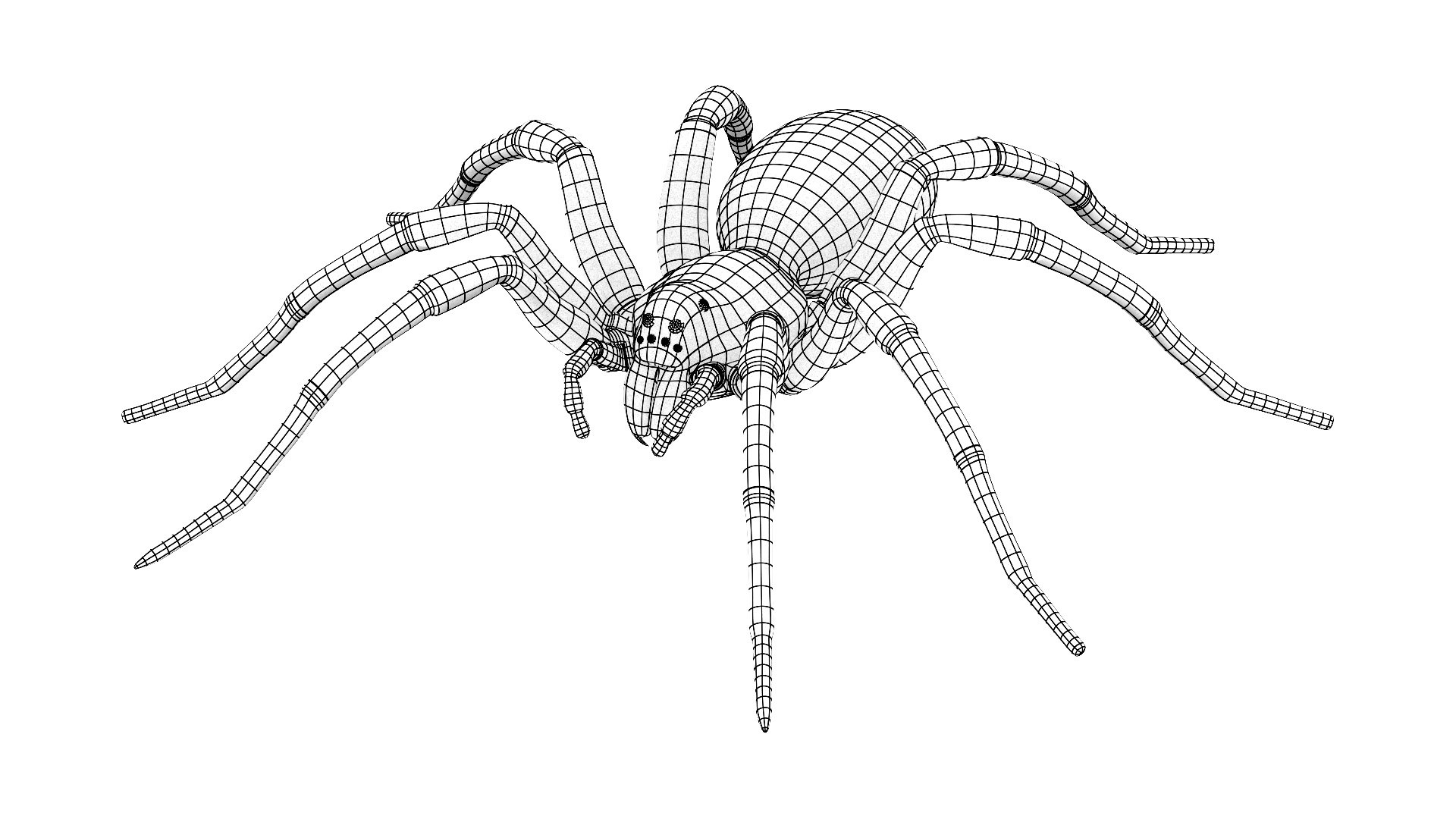 3D Model Animated Wolf Spider - TurboSquid 2103570