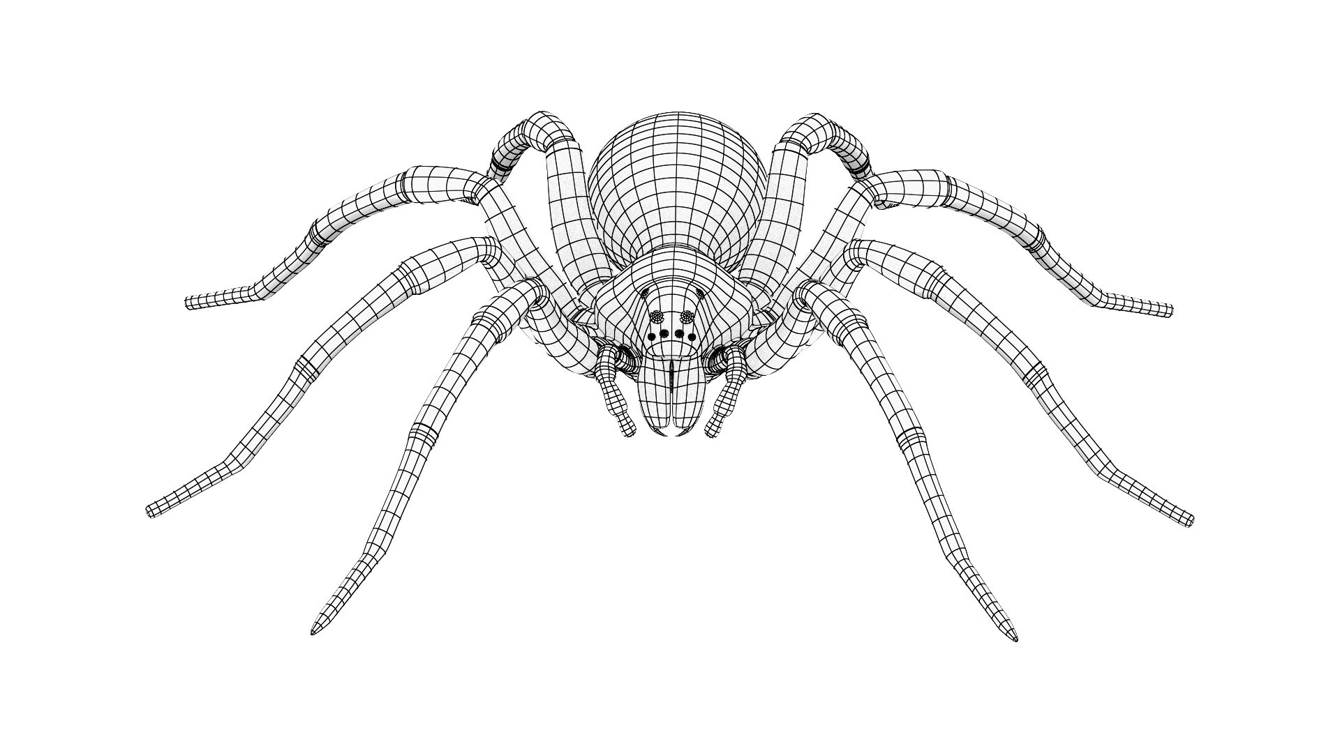 3D Model Animated Wolf Spider - TurboSquid 2103570