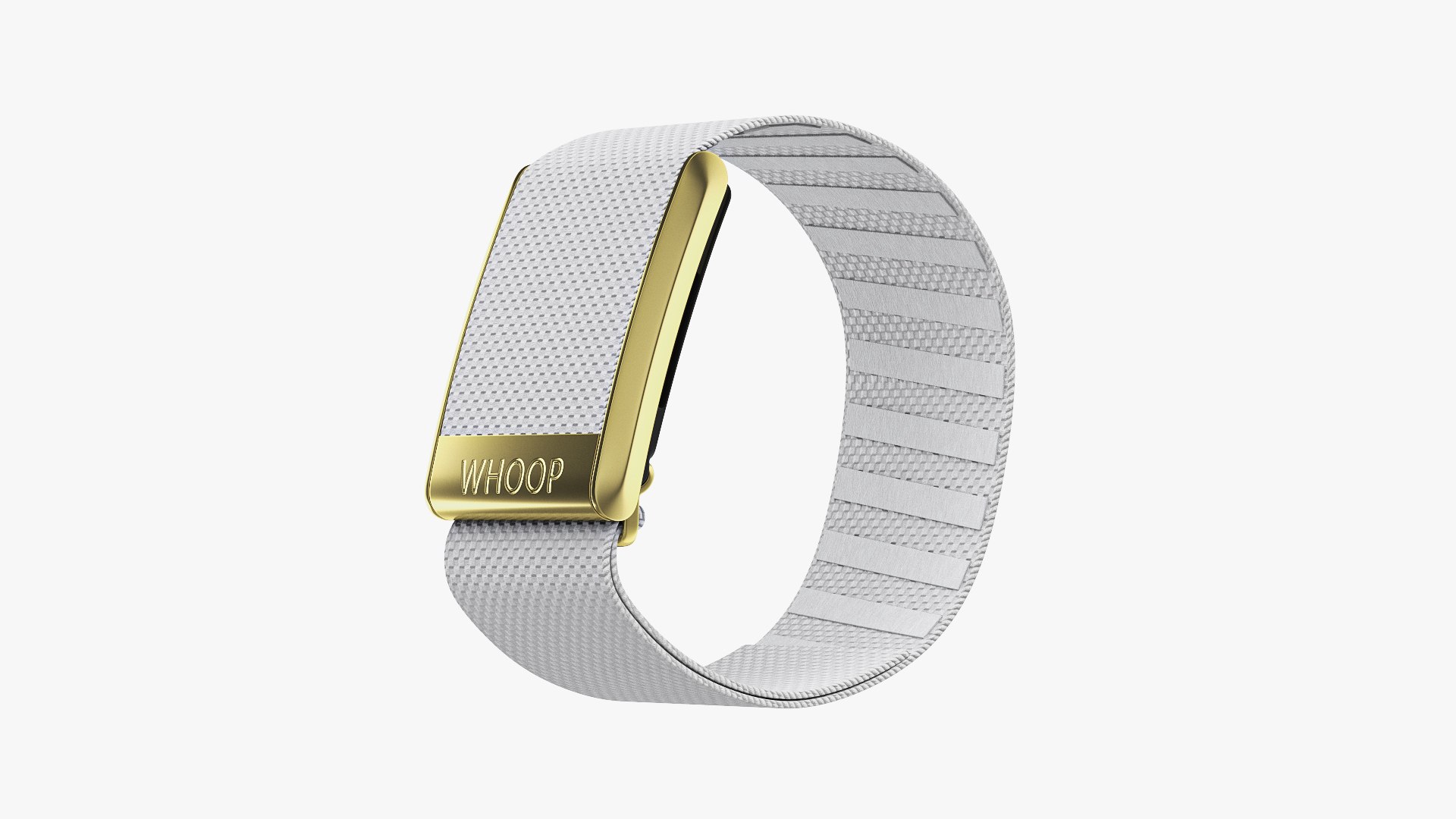 Whoop 4 Fitness Tracker White 3D model - TurboSquid 2115668