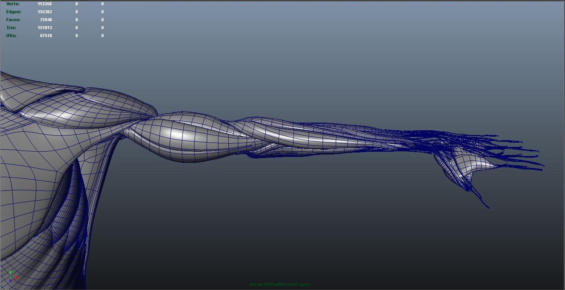 Muscular human body muscles 3D model - TurboSquid 1268827