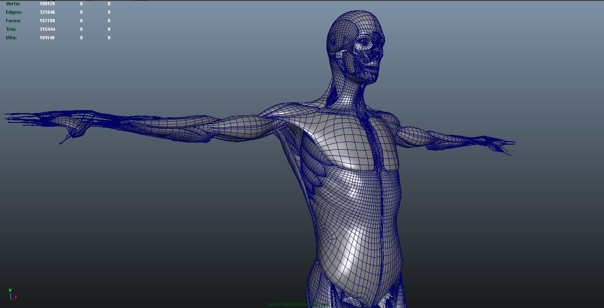 Muscular human body muscles 3D model - TurboSquid 1268827