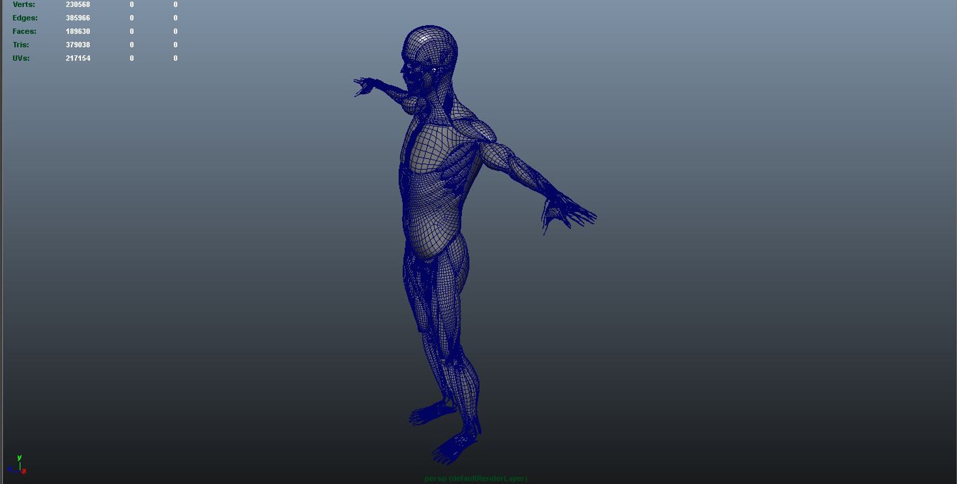 Muscular human body muscles 3D model - TurboSquid 1268827
