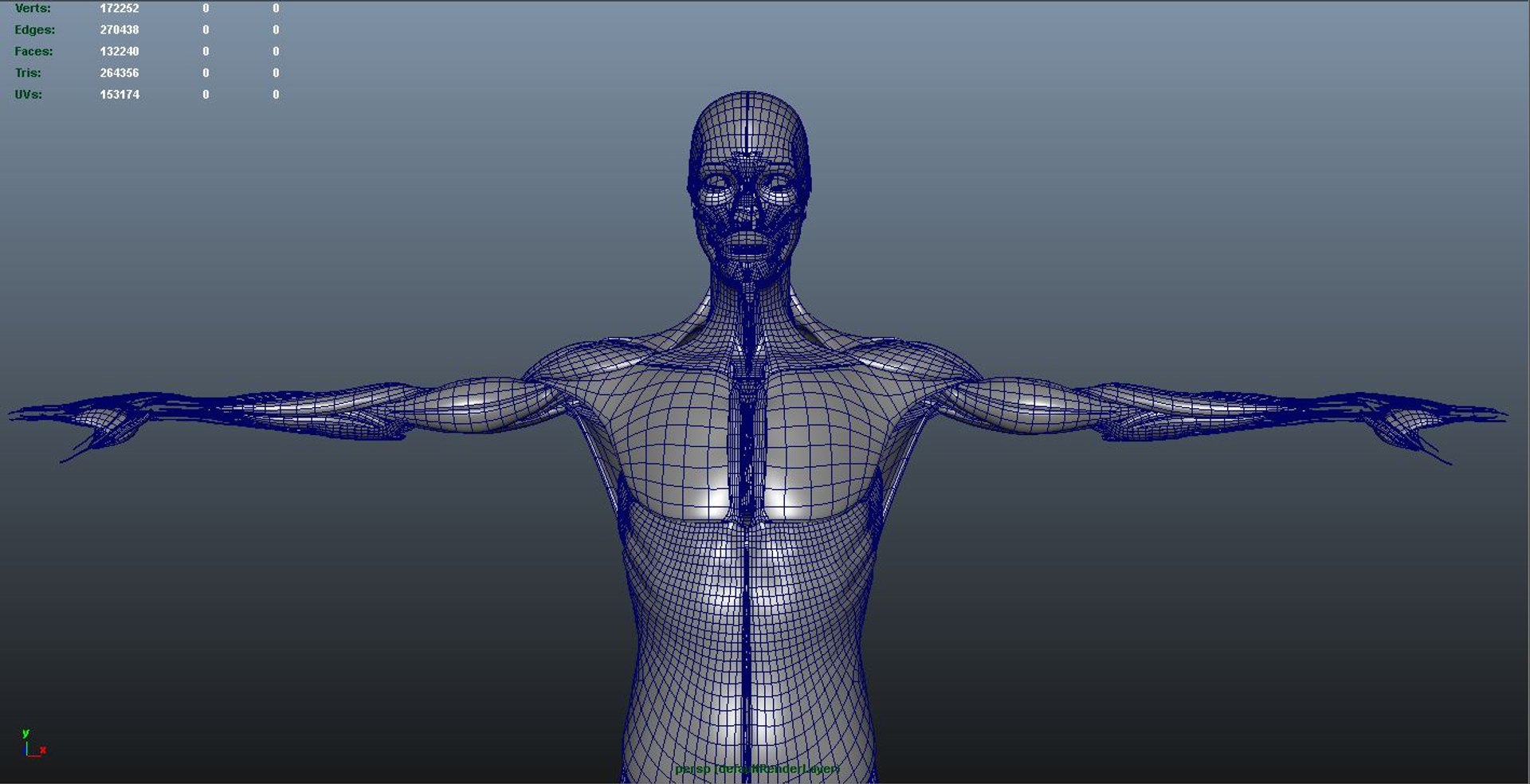 Muscular human body muscles 3D model - TurboSquid 1268827