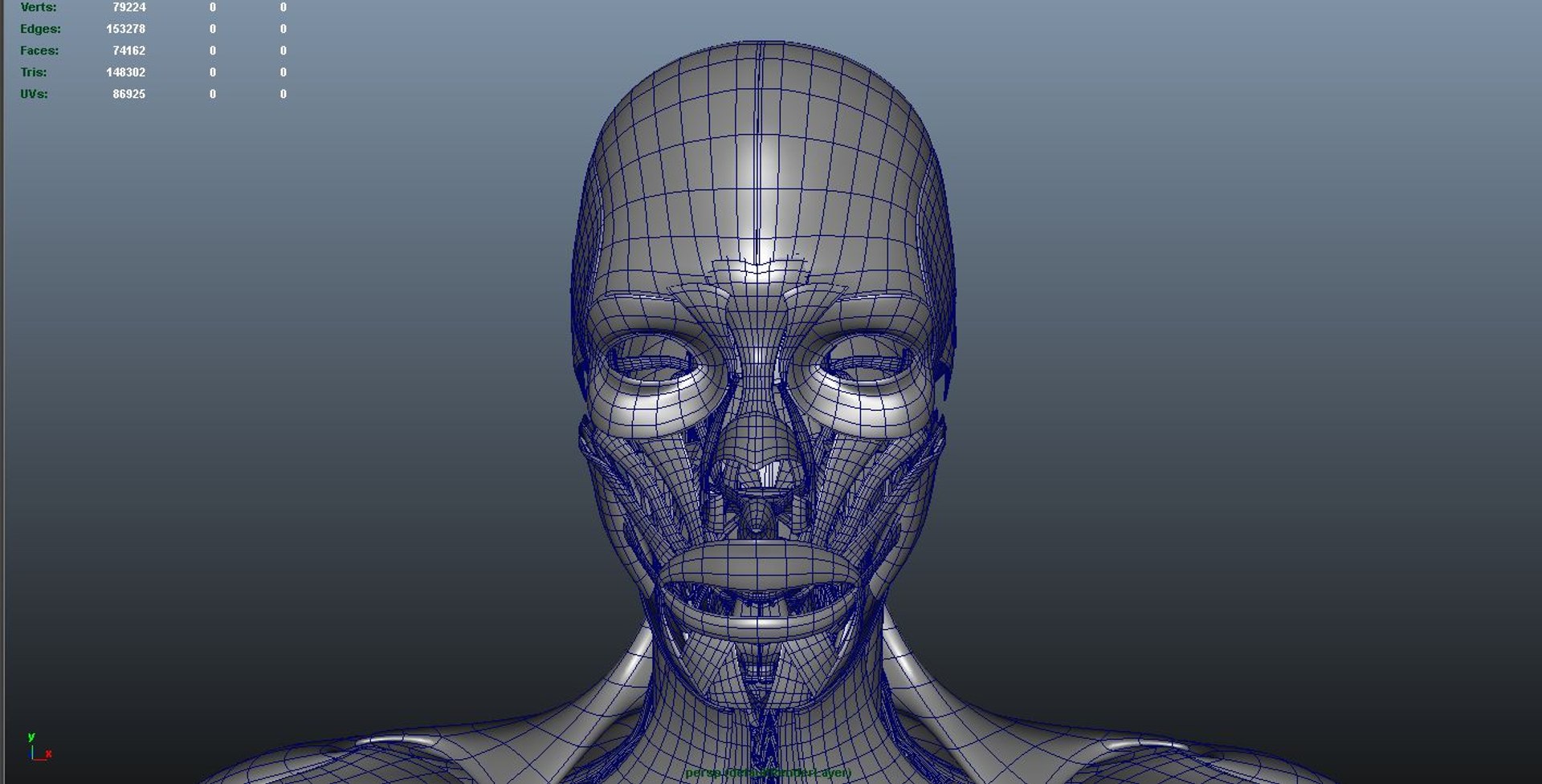 Muscular human body muscles 3D model - TurboSquid 1268827