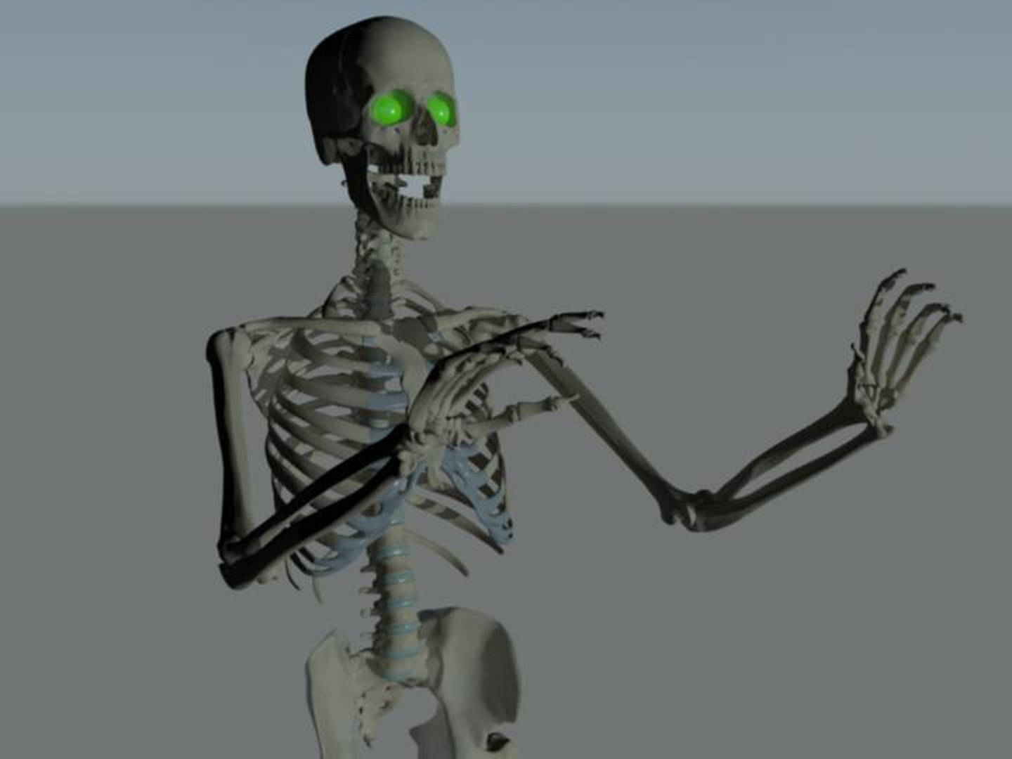 skeleton rigged 3d model