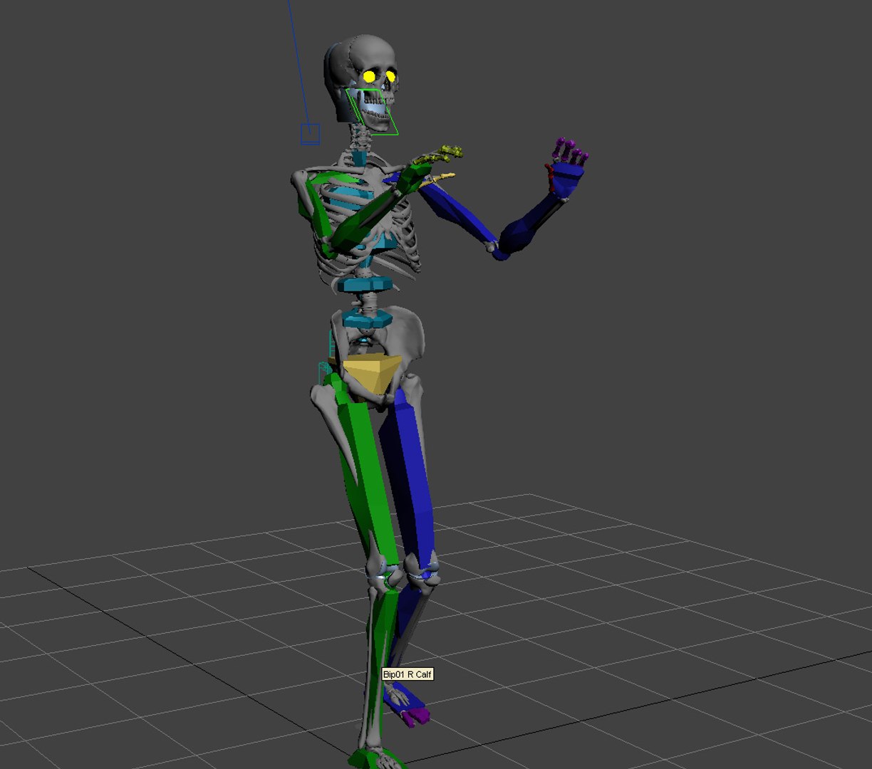 skeleton rigged 3d model
