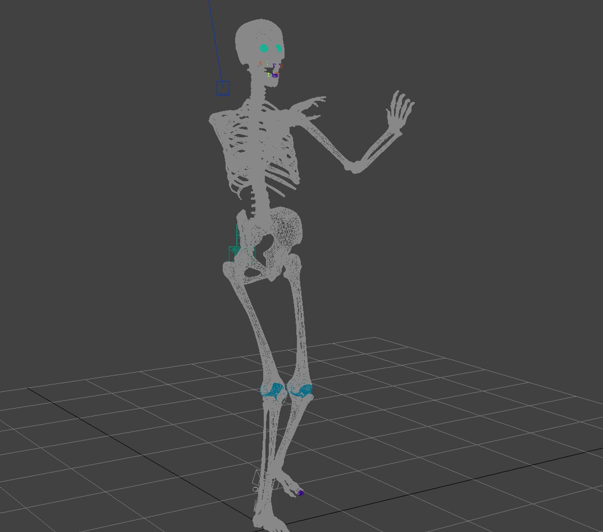 skeleton rigged 3d model