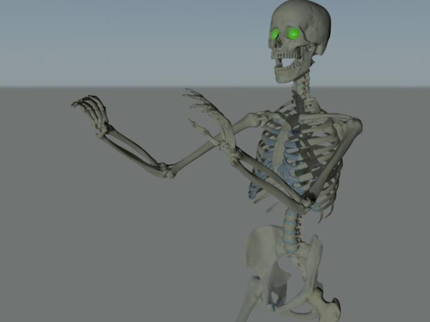 skeleton rigged 3d model
