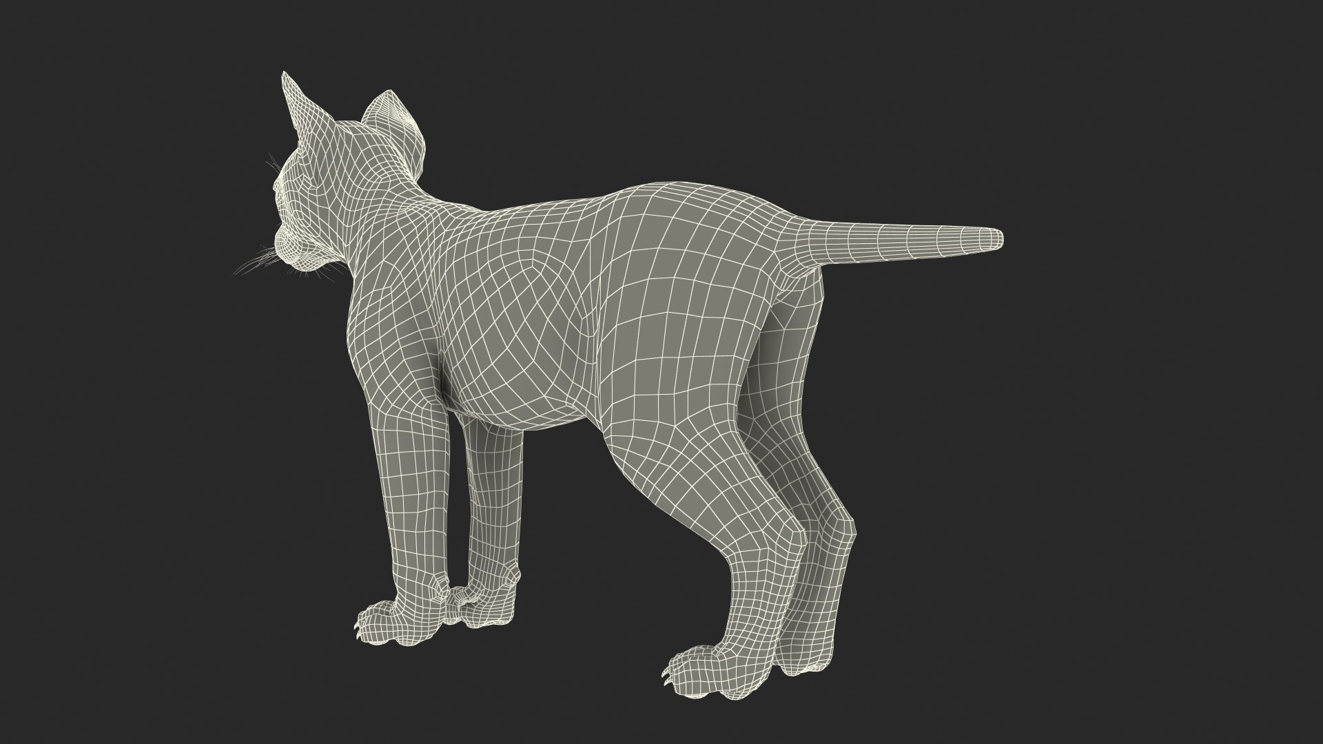 3D Model Lynx Cub Rigged For Maya - TurboSquid 2381273