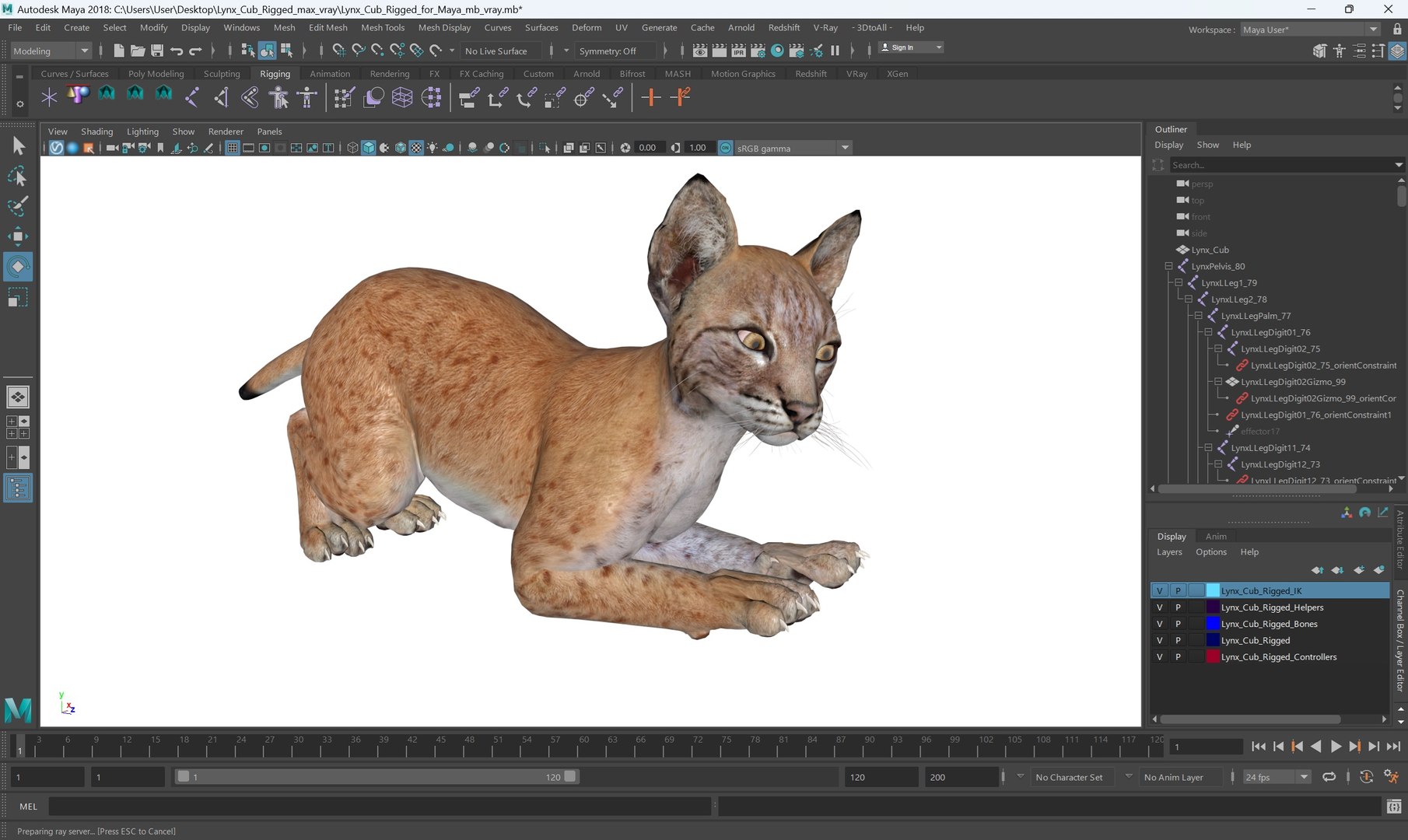 3D Model Lynx Cub Rigged For Maya - TurboSquid 2381273