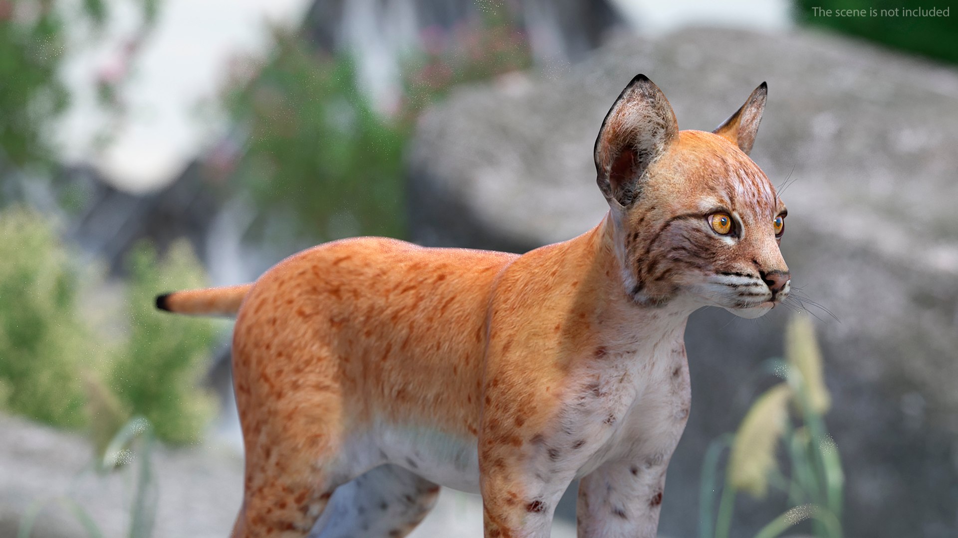 3D Model Lynx Cub Rigged For Maya - TurboSquid 2381273