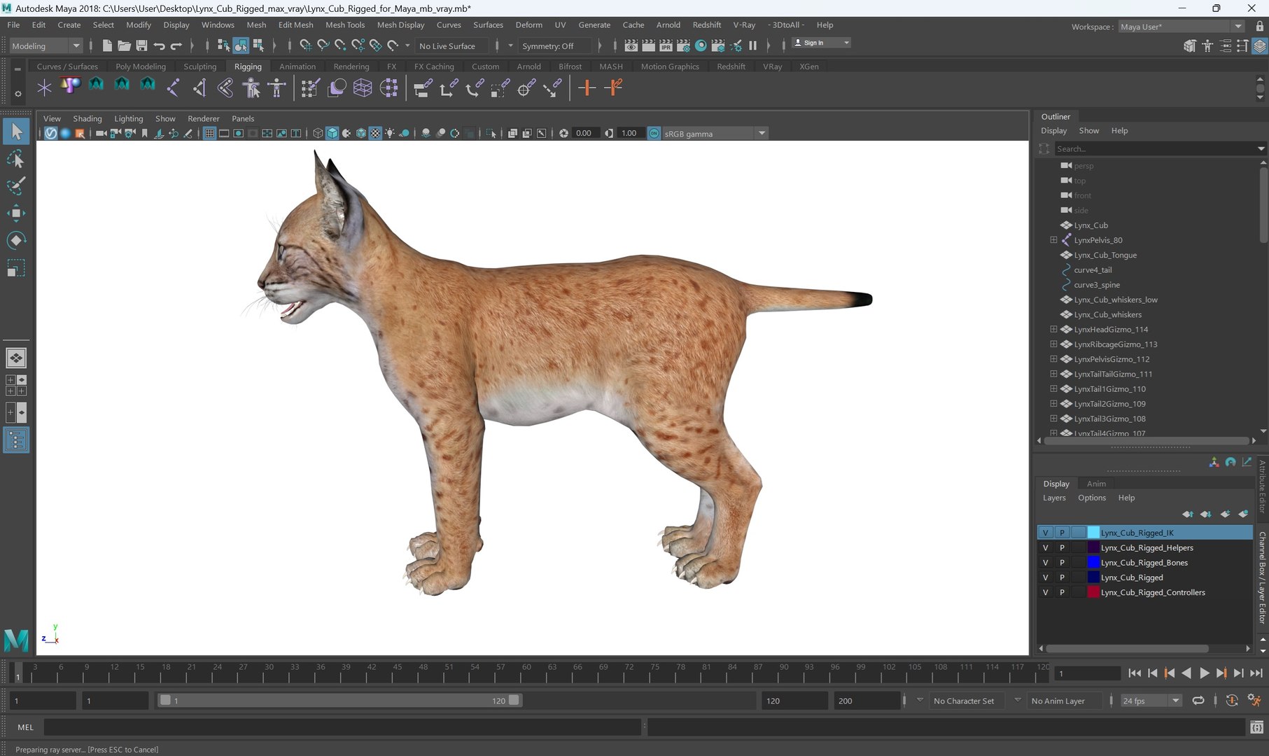 3D Model Lynx Cub Rigged For Maya - TurboSquid 2381273