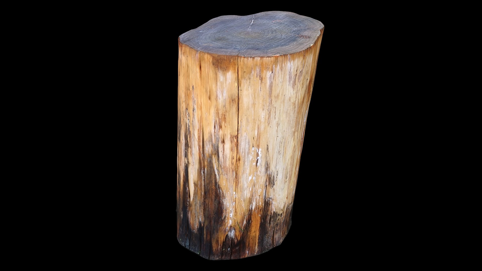 3D wet tree trunk stump model - TurboSquid 1468884