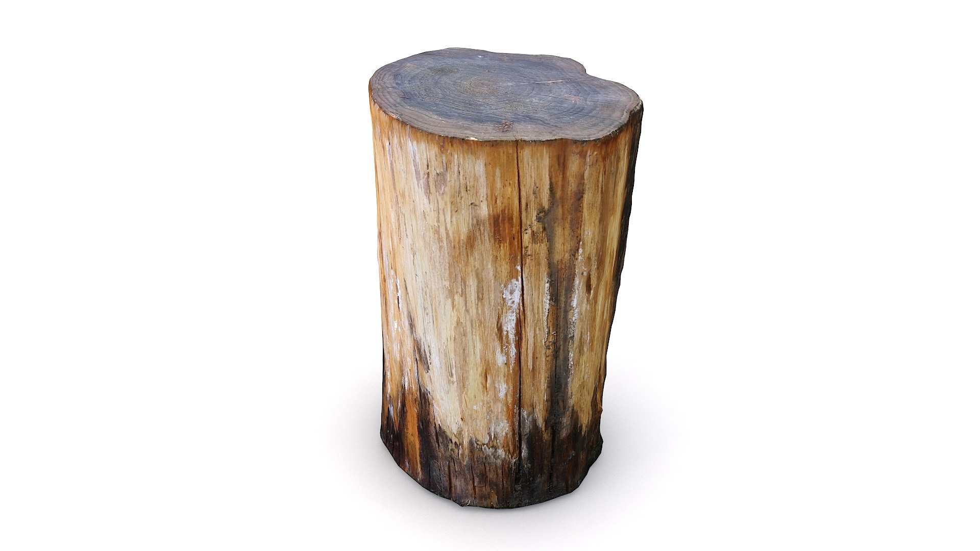 3D wet tree trunk stump model - TurboSquid 1468884